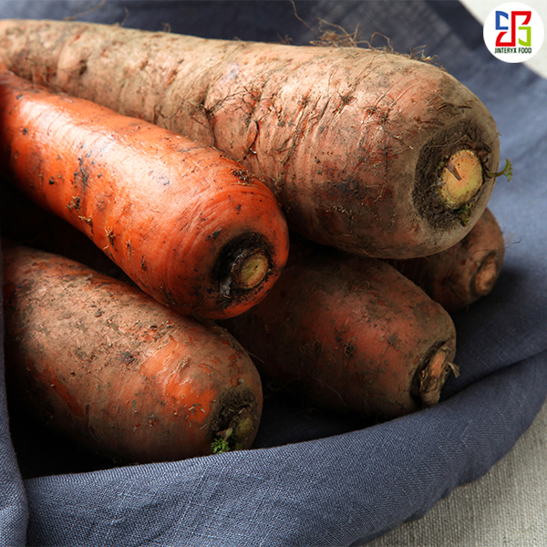 진테릭스 종합쇼핑몰