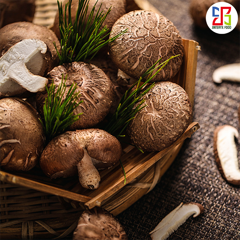 진테릭스 종합쇼핑몰